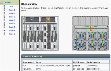 Web Interface Overview