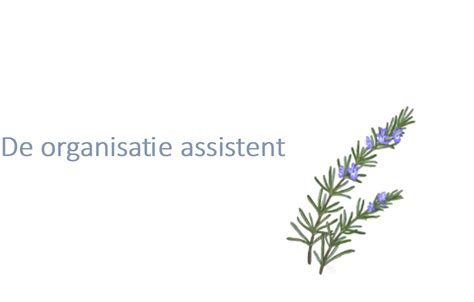 De Organisatie Assistent Evenement Coördinator Gastvrouw