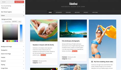 Wordpress Theme Panel Options Frameworks