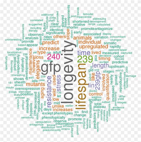 Stem Loop Sequence Cel Mir Calligraphy Poster Advertisement Flyer Hd