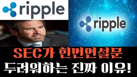 리플 코인 리플 급등 Sec가 힌먼연설문을 두려워하는 진짜 이유 단독공개 리플1000원 갈 강력한 호재가 될겁니다