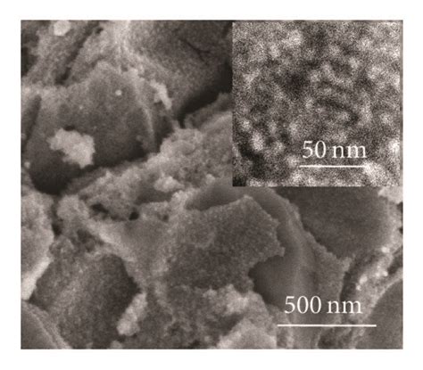 Sem Micrographs And Edx Spectra Of The Samples Obtained Through Download Scientific Diagram