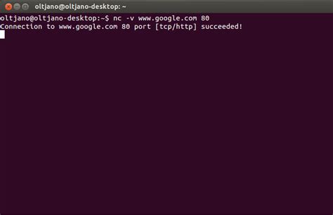 Play With Netcat In Ubuntu