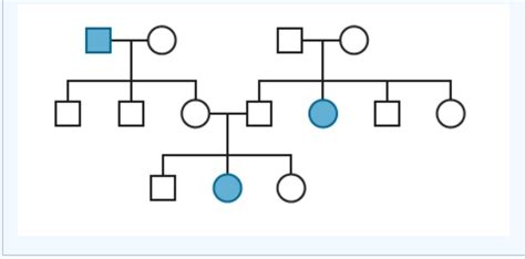 Solved Which Of Mendels Postulates Are Demonstrated By The