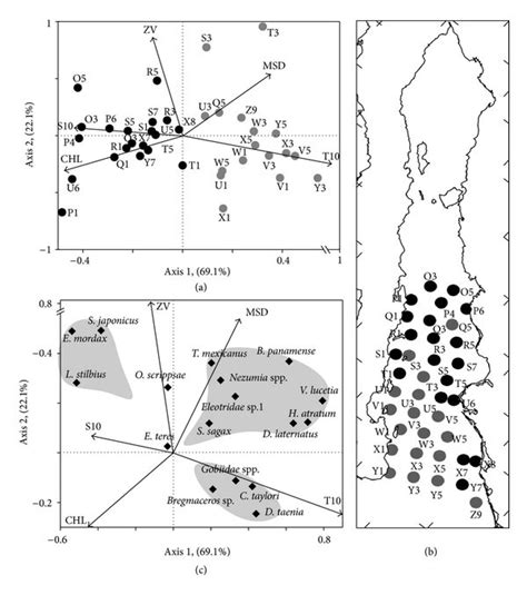 Classification And Ordination Analysis March A Rda Biplot Of