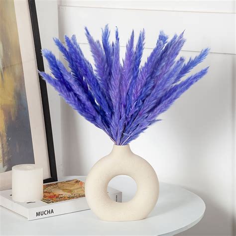 Preserved Pampas Small Bella Bloom Sa