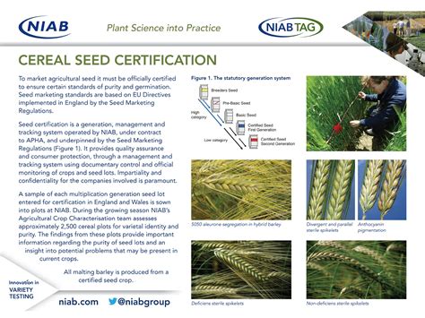 Seed Certification And Variety Testing Cereals 2021 Your Industry Your Arable Event Seed Certification And Variety Testing Cereals 2021 Your Industry Your Arable Event