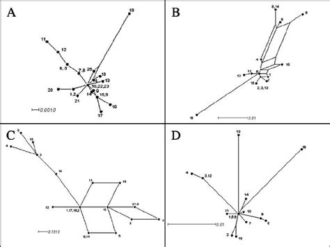 Split Decomposition Analysis Of Housekeeping Genes With Splitstree By