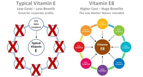 Vitamin E Background Information Nutristand Vitamin E Vitamins