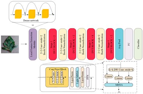 Agronomy Free Full Text Using A Hybrid Convolutional Neural Network With A Transformer Model