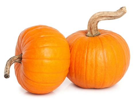What Are The Different Types Of Pumpkin Cake With Pictures