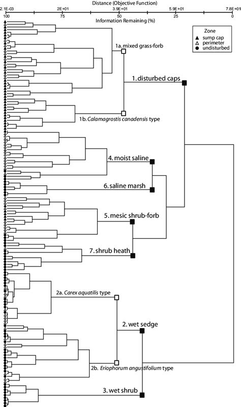 A Classification Tree Showing Hierarchical Classification Of Sample Download Scientific Diagram
