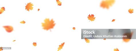 단풍 배경 학교 프레임으로 돌아갑니다 가을 주황색과 빨간색 잎 배너입니다 안녕하세요 가을 카드입니다 소셜 미디어 디자인 큰 가을 세일 단풍나무와 참나무 떨어지는 단풍나무