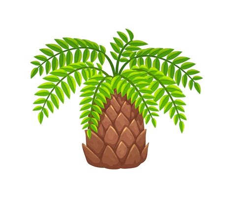 Nipa Palm Tree Vectors And Illustrations For Free Download Freepik