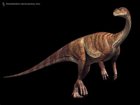 Plateosaurus Alchetron The Free Social Encyclopedia