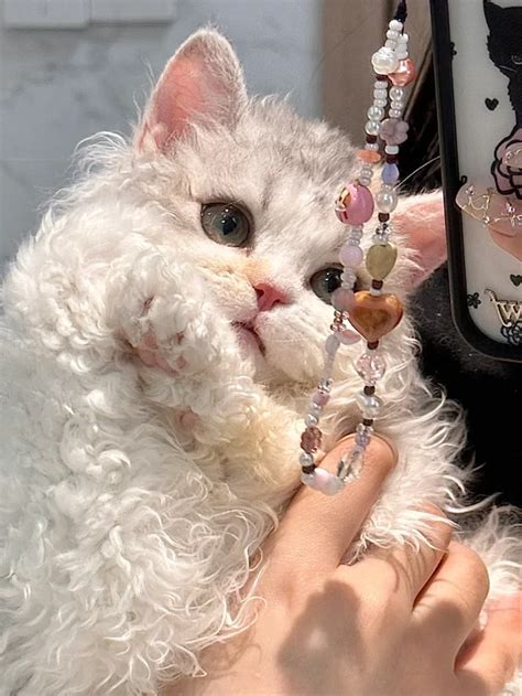 9 C Fvw}~ooux3g5bamt 9n 花瓣网