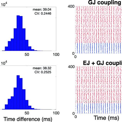 Raster Plots And Inter Spike Interval Isi Histograms For Each Of The Download Scientific