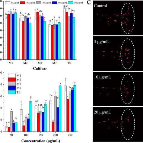 In Vitro And In Vivo Anti Inflammatory Effects Of Extracts From