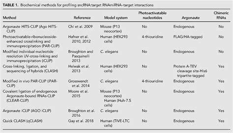scrap a bioinformatic pipeline for the analysis of small chimeric rna