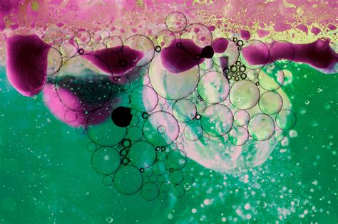 How To Get Rid Of Pink Algae In Your Pool