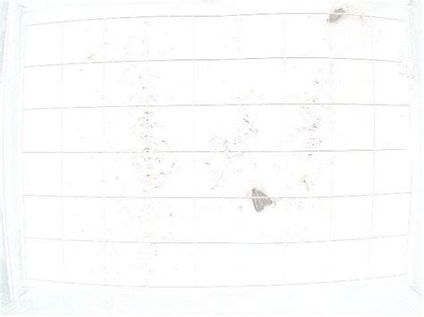 Python — How To Count Bugs In An Image By Thecodeteacher System