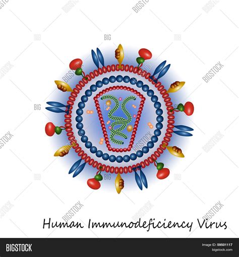HIV Virus Particle Vector Photo Free Trial Bigstock
