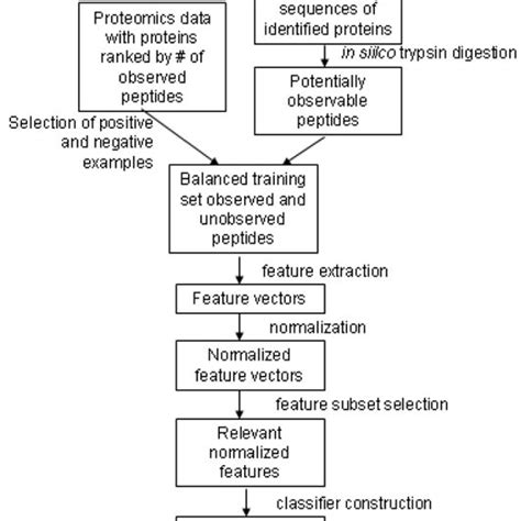 Classifier Construction Process Download Scientific Diagram