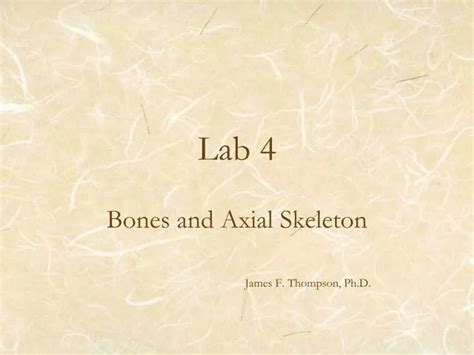 PPT Lab PowerPoint Presentation Free Download ID