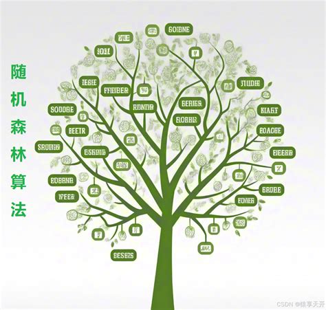 深入详解：随机森林算法——概念、原理、实现与应用场景 Ew帮帮网