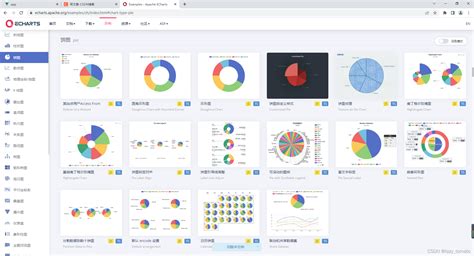 2echart 绘制饼图 Csdn博客