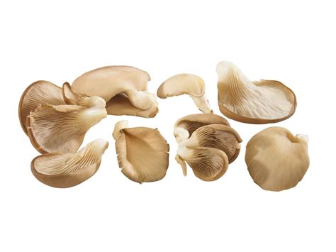 Български гъби Кладница Лидл Oferta Bg