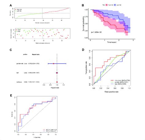 Validation Of The Accuracy Of The Prognostic Model Using The Gse93606 Download Scientific