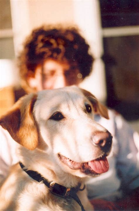 Poppy And Dagger By Perritos On Deviantart