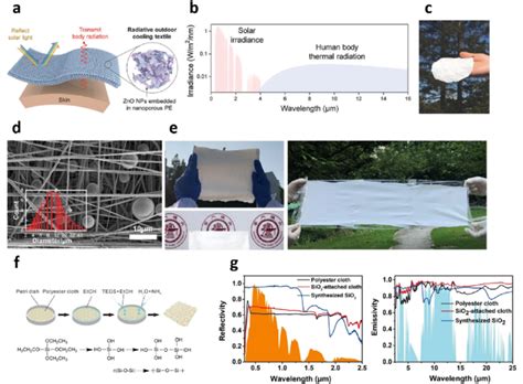 A Schematic Of Zno Np Embedded Nanoporous Pe Textile B Am15 Solar Download Scientific Diagram