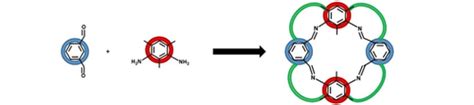Two‐step Synthesis Of A New Twenty‐membered Macrocycle Spectroscopic Characterization And