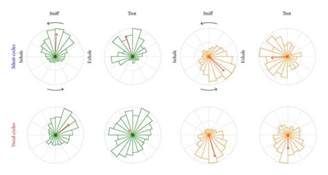 Disruption Of Coupling Between Respiration And Head Body Movements Download Scientific Diagram
