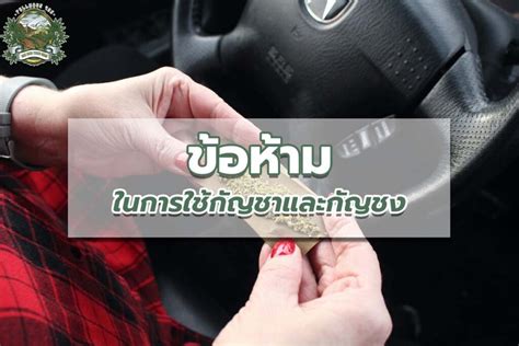 ความรู้ Sky Cannabis Thailand