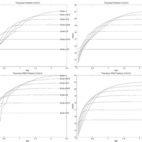 optimal top and rigid relative bottom bit allocation based
