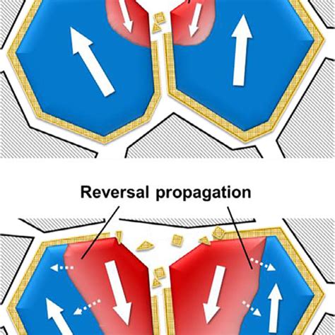 Schematic Of The Nucleation And Propagation Of Reversed Domains During Download Scientific