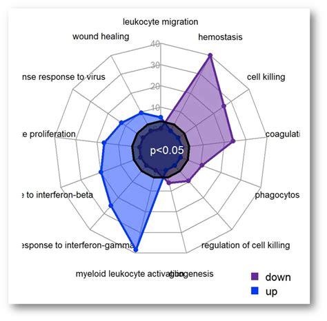 复现immunity文章图表：分组雷达图展示富集结果 复现immunity文章图表 分组雷达图展示富集结果 Csdn博客