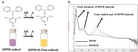 Principle Of Abts Assay At Jennifer Carranza Blog
