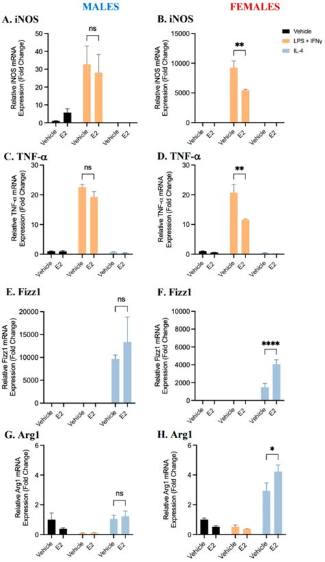Investigating The Effects Of Sex Hormones On Macrophage Polarization Pmc