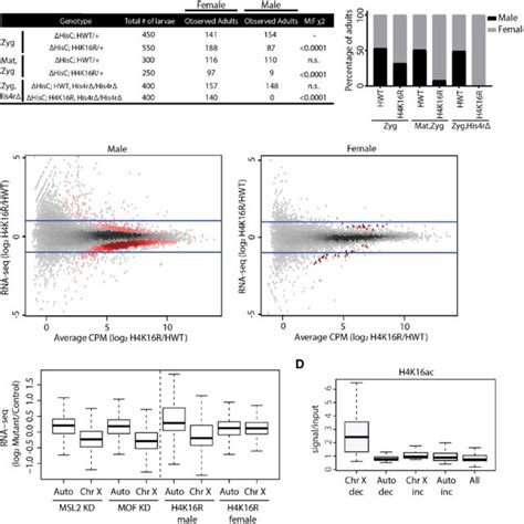 Measuring Genome Wide Replication Timing In Vivo A Experimental Download Scientific Diagram