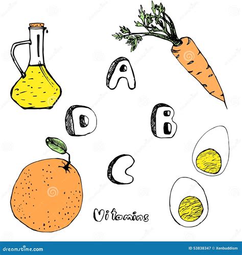 Vitaminas De ABCD Dos Alimentos Ilustração Stock - Ilustração de ...