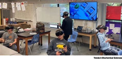 Multiplayer Virtual Reality For Understanding Biomolecular Structures Trends In Biochemical
