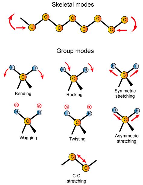 Main Vibrational Modes Of Atoms In Molecules Or In Complex Structures Download Scientific