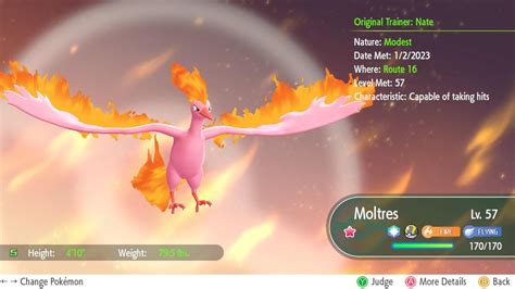 Just Caught A Shiny Moltres While Hunting For Shiny Charizard 😳 What Are The Odds R