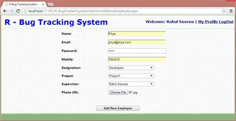 R Bug Tracking System