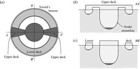 An Example Of A Dummy Like Trapping Body A Top View Of A Toroid Download Scientific Diagram