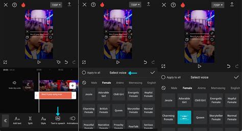 Unlock Video Potential Empower Your Videos With CapCut Voice Over